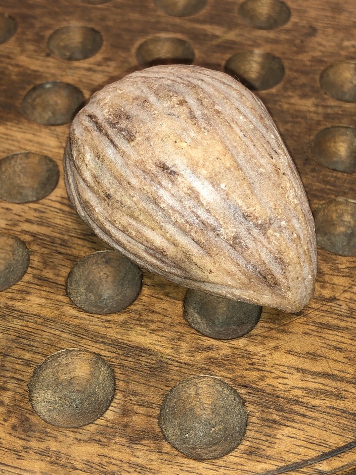 Rare Early Vintage Stone Marble Nut Italian Alabaster Nut Realistic ...