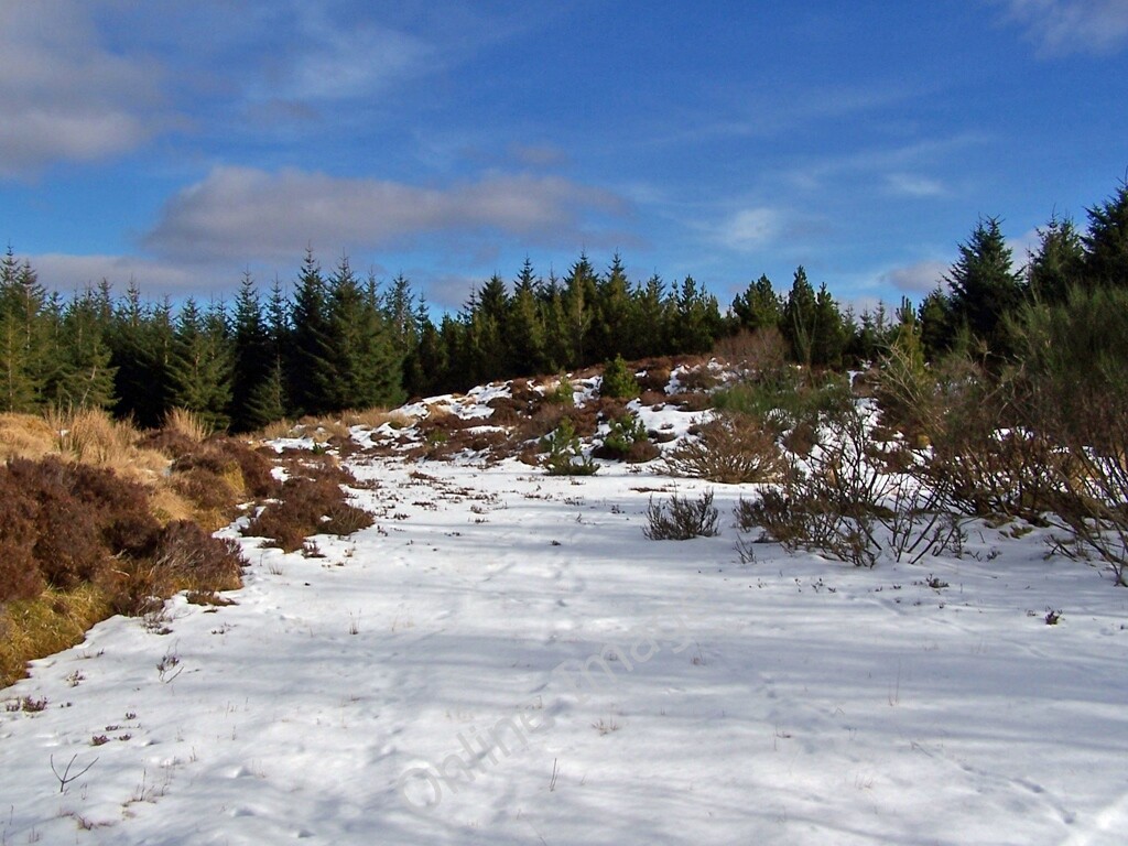 Photo 6x4 Clearing in the forest Peiness A view from a track which ...