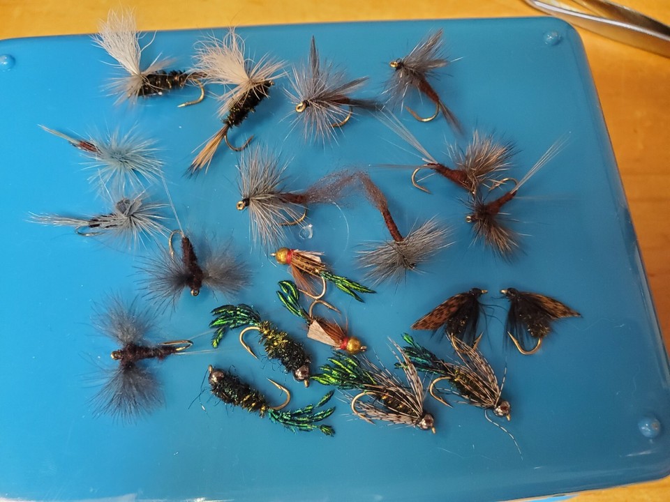 Isonychia Life Cycle Fly Selection, Slate Drake Fly Selection 20 Flies ...