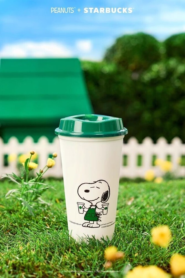 2025 China Starbucks Snoopy Reusable Green Lid Plastic 16 oz Cold Drink ...