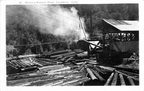 Postcard RPPC 1950s Lumber Sawmill Logging Cunningham CA24-808 | eBay