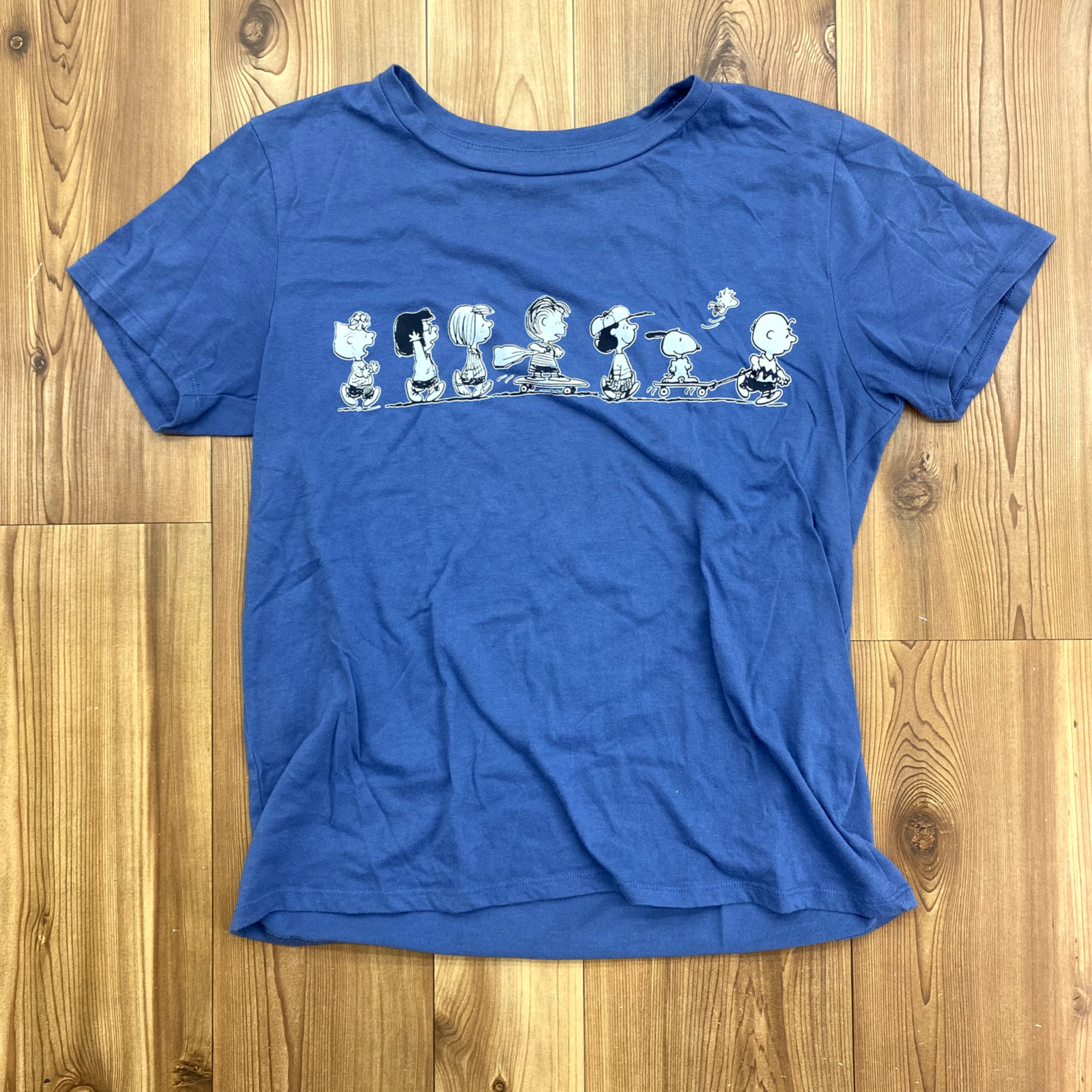 Peanuts Blue Peanuts Gang Following Charlie Brown Gra… - Gem
