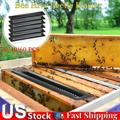 20/40/60×Black BeeHive Beetle Trap Small Bee Hive Beetle Blaster ...