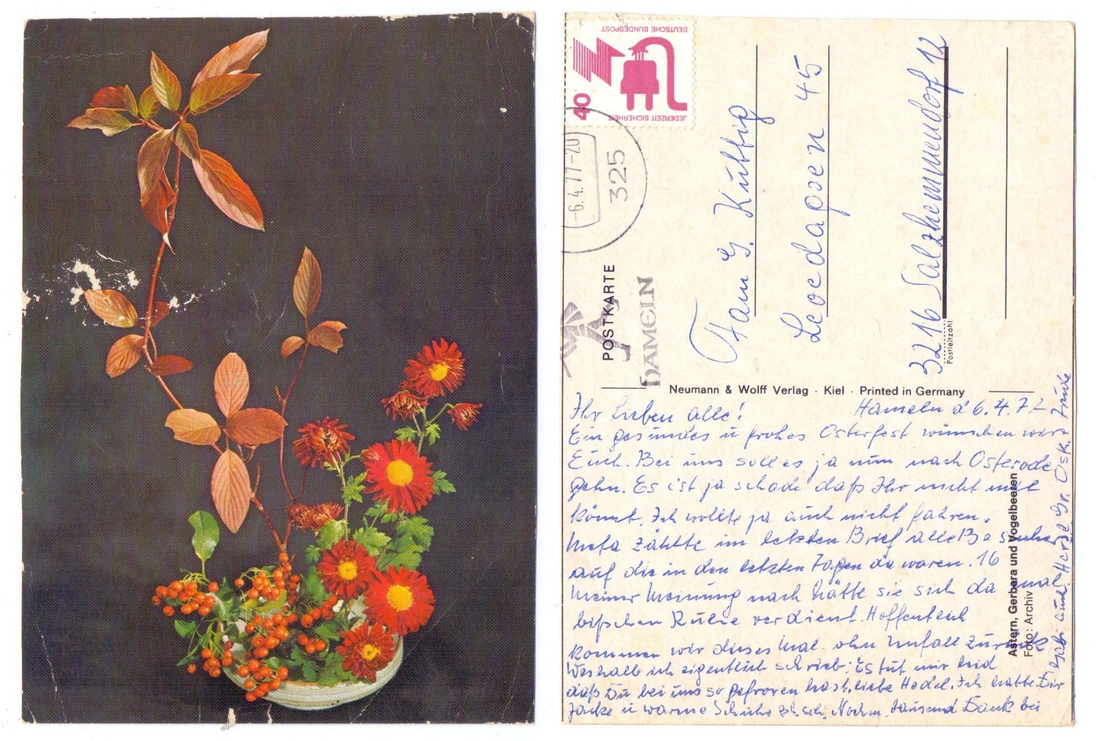 127086 - Astern, Gerbera und Vogelbeeren - AK, gelaufen Hameln 6.4.1977 ...