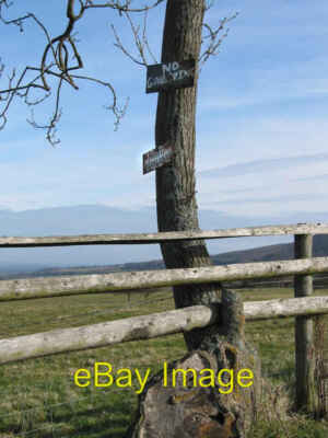 Photo 6x4 Signs on the tree Crowsnest/SJ3601 c2008 | eBay UK