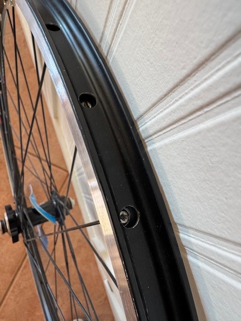 Forte TerraMax 26" Front Bike Wheel, 6061, Dual Use, 6 bolt, 32 spoke ...