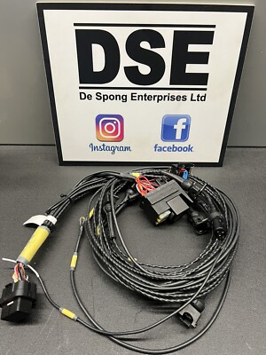 DTA T2 Motorsport Wiring Harness for Zetec with Jenvey Throttle bodies ...