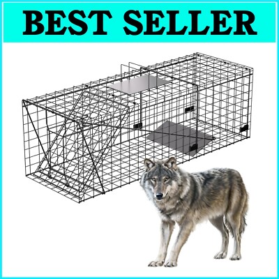 Extra Large Steel Live Animal Trap for Dogs, Coyotes & Raccoons ...