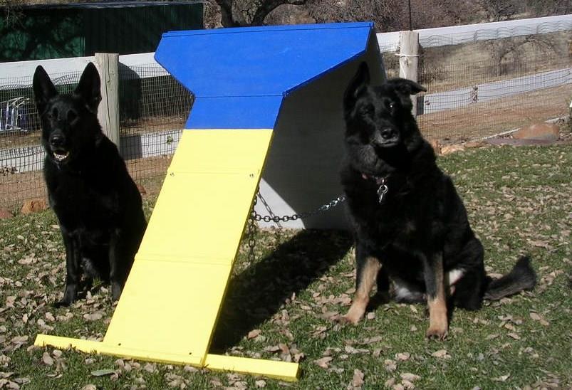 Dog Agility Equipment Mini Contact Trainer (Dog walk - A Frame/AFrame ...