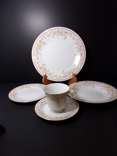 5 Piece Place Setting Liling Fine China Serenity Pattern | eBay