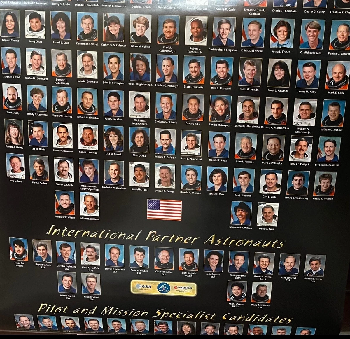 Nasa Lisa Nowak Astronaut