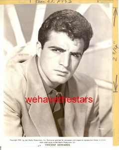 Vintage Vince Edwards QUITE HANDSOME SEXY '52 Publicity Portrait | eBay