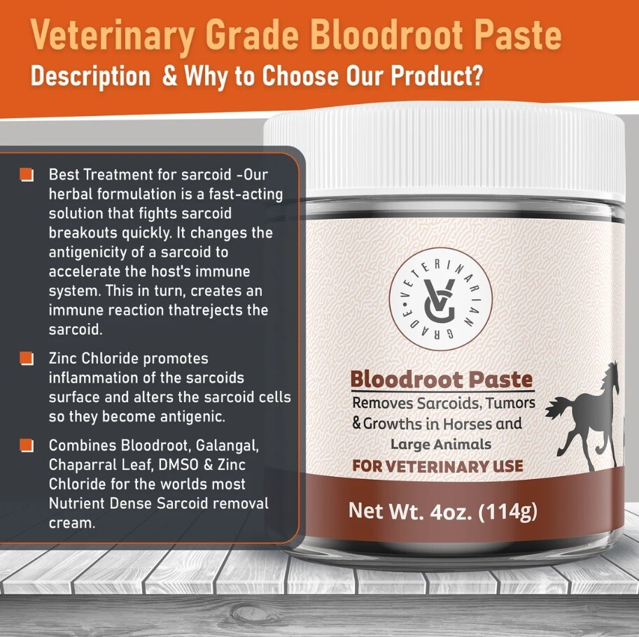 Bloodroot Paste for Sarcoid Removal in Horses and Equine Farm Animals ...