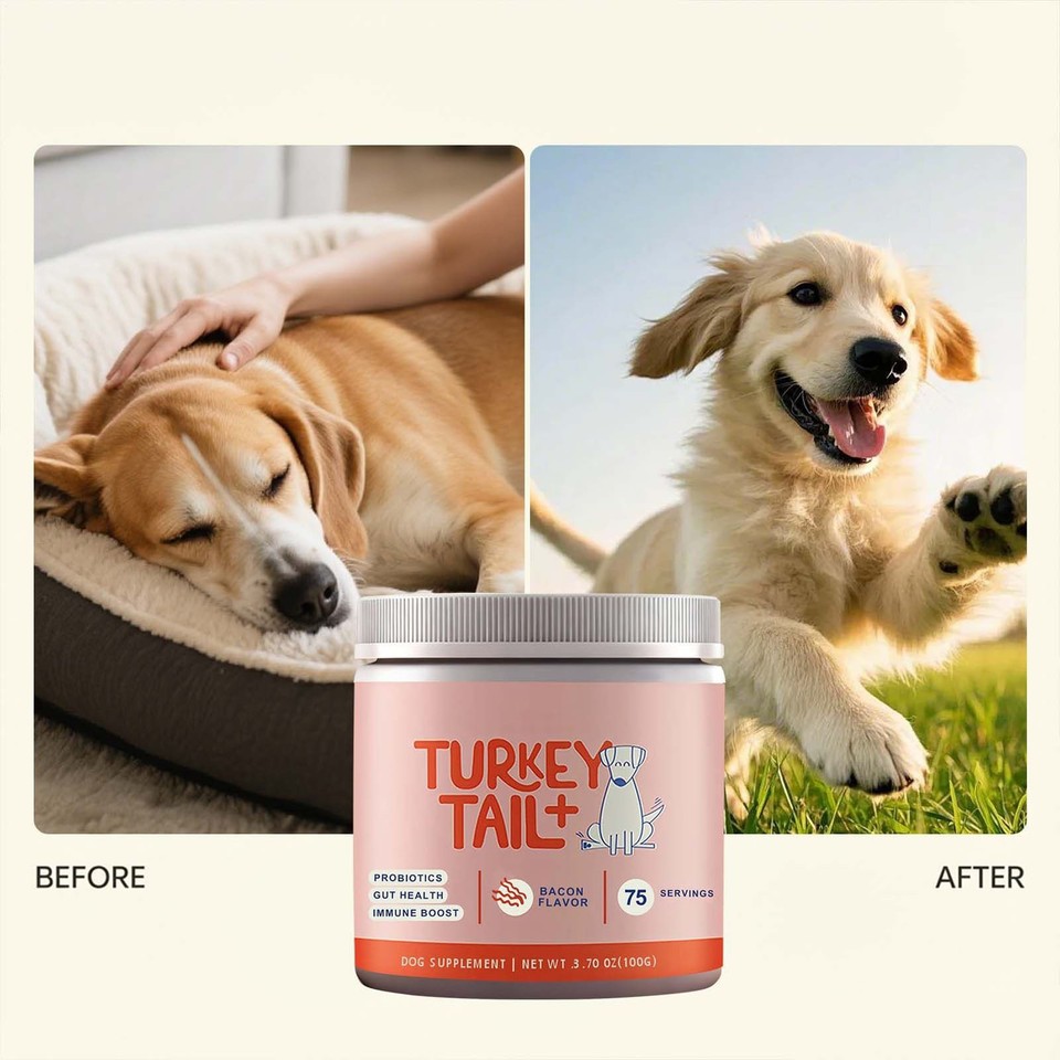Turkey Tail Mushroom+Probiotics for Dogs–Lump&Lipoma Support,Gut ...