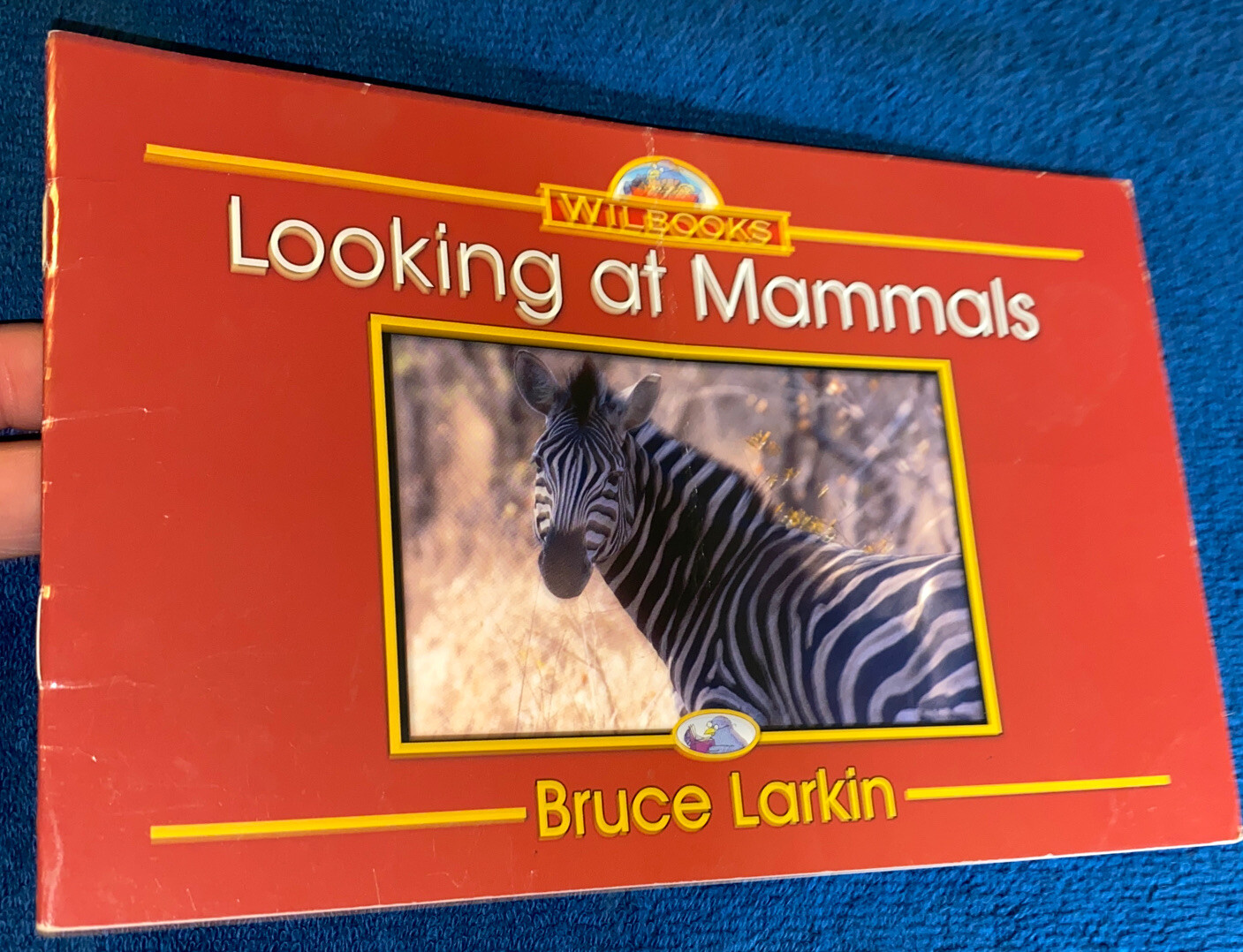 Wilbooks: Looking At Mammals by Bruce Larkin (PB, 2009) | eBay