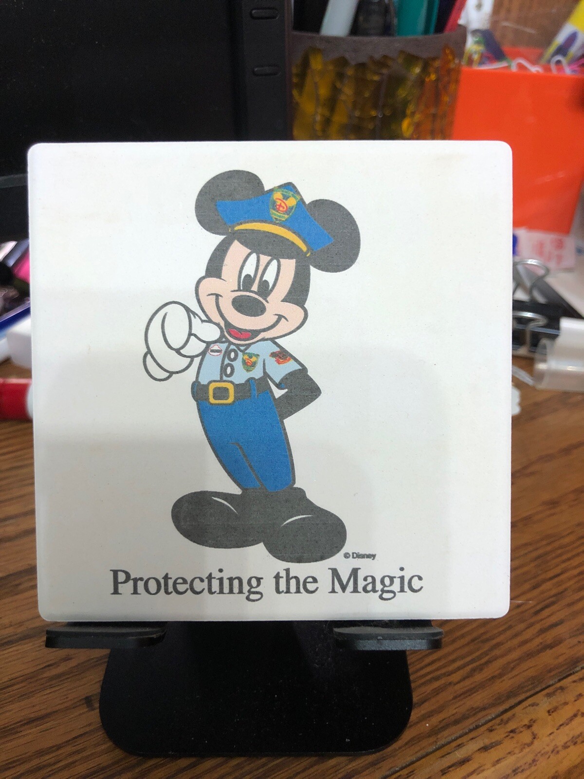 Walt Disney World Cast Member Security Protecting The Magic Coasters X ...