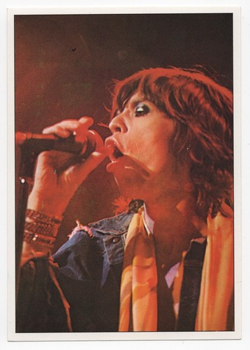Mick Jagger Card Panini Pop Stars Sticker 1975 Mini-Poster Vintage Rock ...