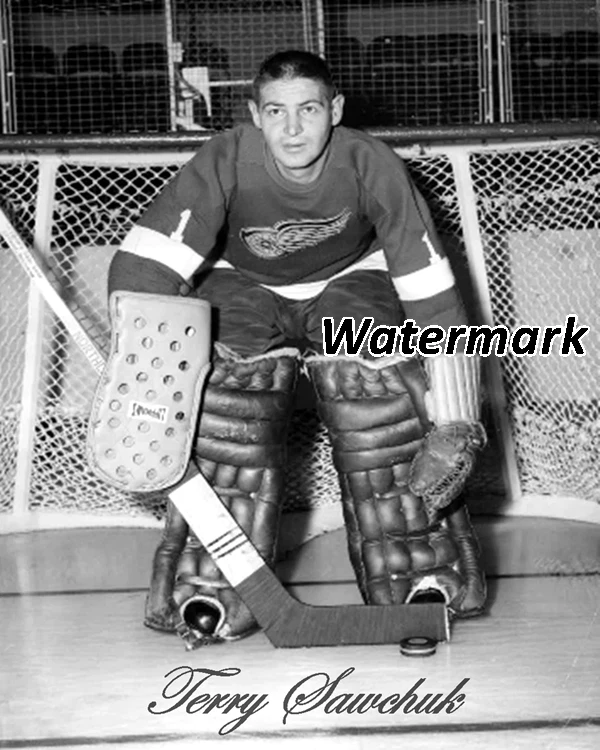 Terry Sawchuk