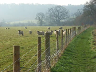 Photo 6x4 Pasture and footpath, Stanford Dingley Rotten Row/SU5871 ...