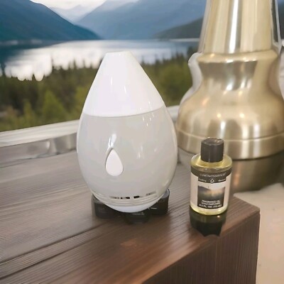 Luminescence Aromatherapy Diffuser and Oil | eBay