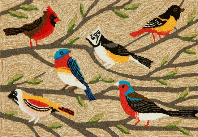 AREA RUGS - "BIRDS OF A FEATHER" INDOOR OUTDOOR RUG - 30" x 48" - BIRD ...