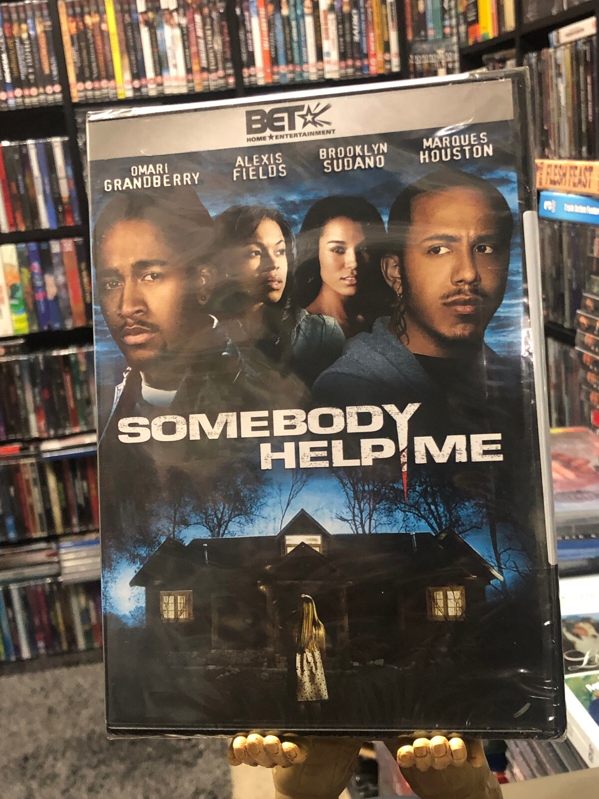 Somebody Help Me (DVD) Omari Grandberry, Alexis Fields, Brooklyn Sudano ...