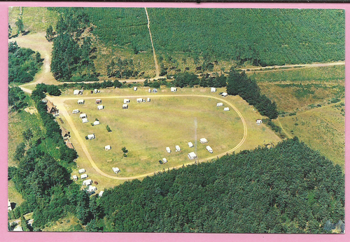 Forest Camping, Tangham, Rendlesham Forest, Butley, Woodbridge, Suffolk ...