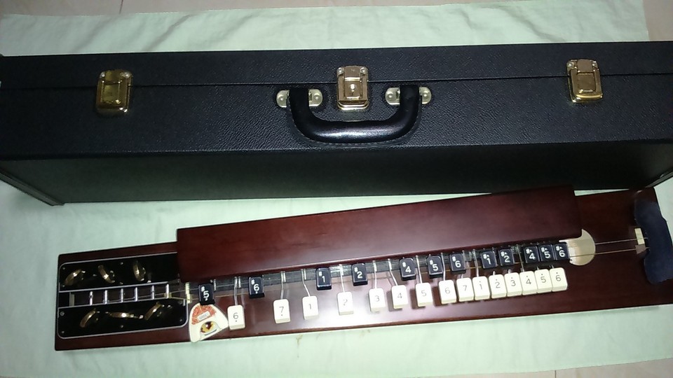 NW (Natural Brown) Acoustic Taisho Koto (Taishogoto) with Hard Case | eBay