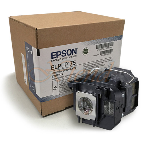 Genuine Projector Lamp Module for EPSON ELPLP75 / V13H010L75 | eBay