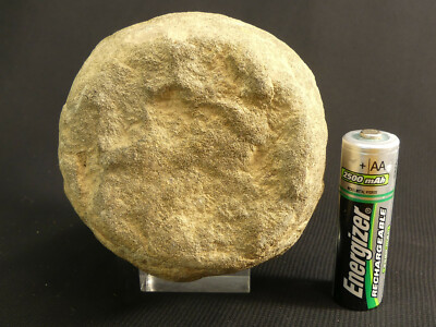 X-RARE Native American Tenn Discoidal Game Stone w/Pictographs of ...