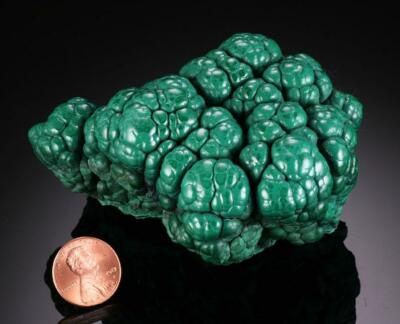This awesome Malachite Brain displays excellent botryoidal growth well ...