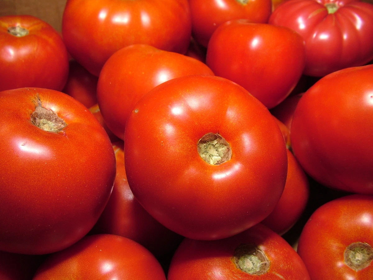Tomato Seeds Germinating Inside Tomato? Freaky, But Normal!, 59% OFF