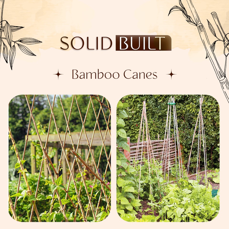 2ft- 6ft Plant Support Canes Bamboo Garden Thick Sticks Outdoor Strong ...