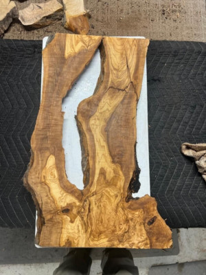 #223 OLIVE wood burl slab 200 yr old Rawcut 16x24 FREE SHIP | eBay