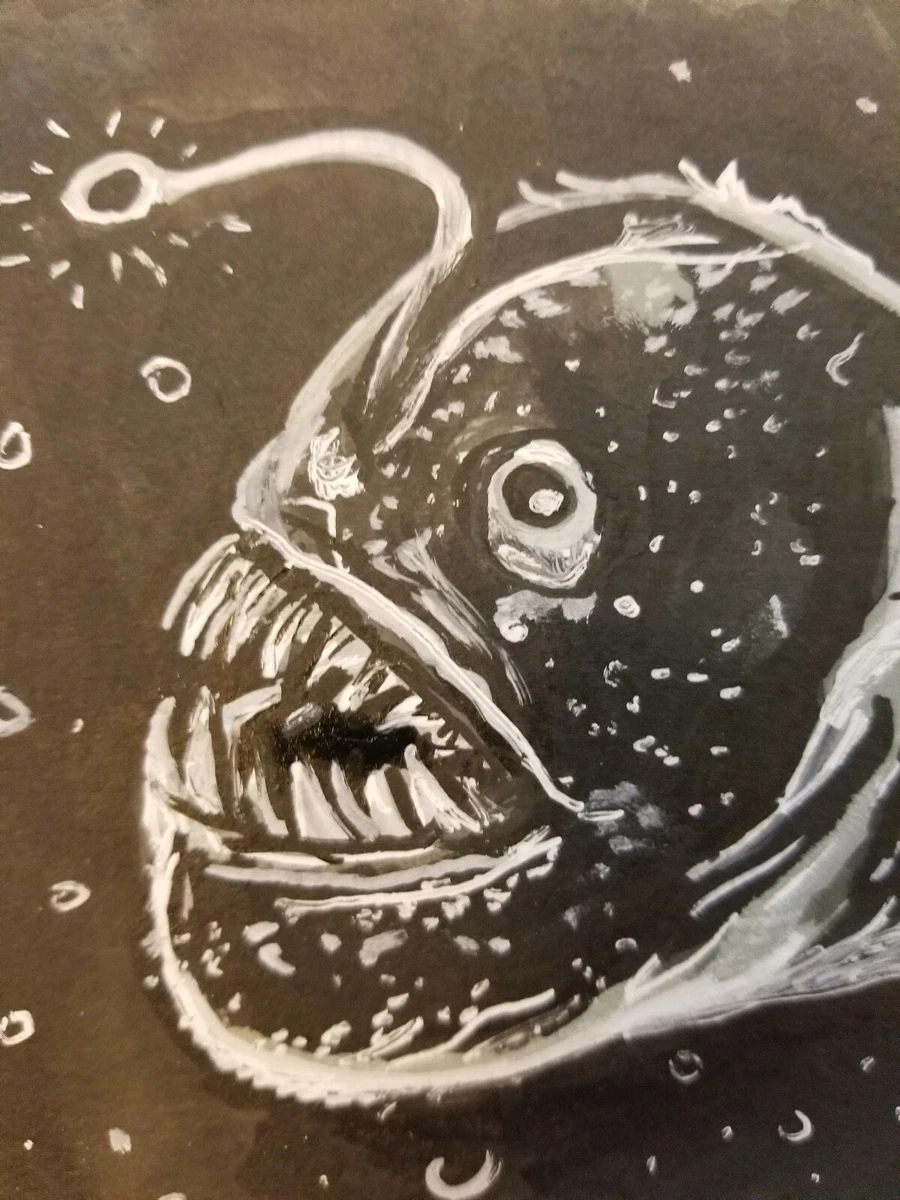 Lantern Fish Drawing