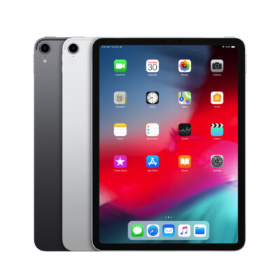Apple iPad Pro 11 256GB Unlocked Fair Condition - All Colors | eBay