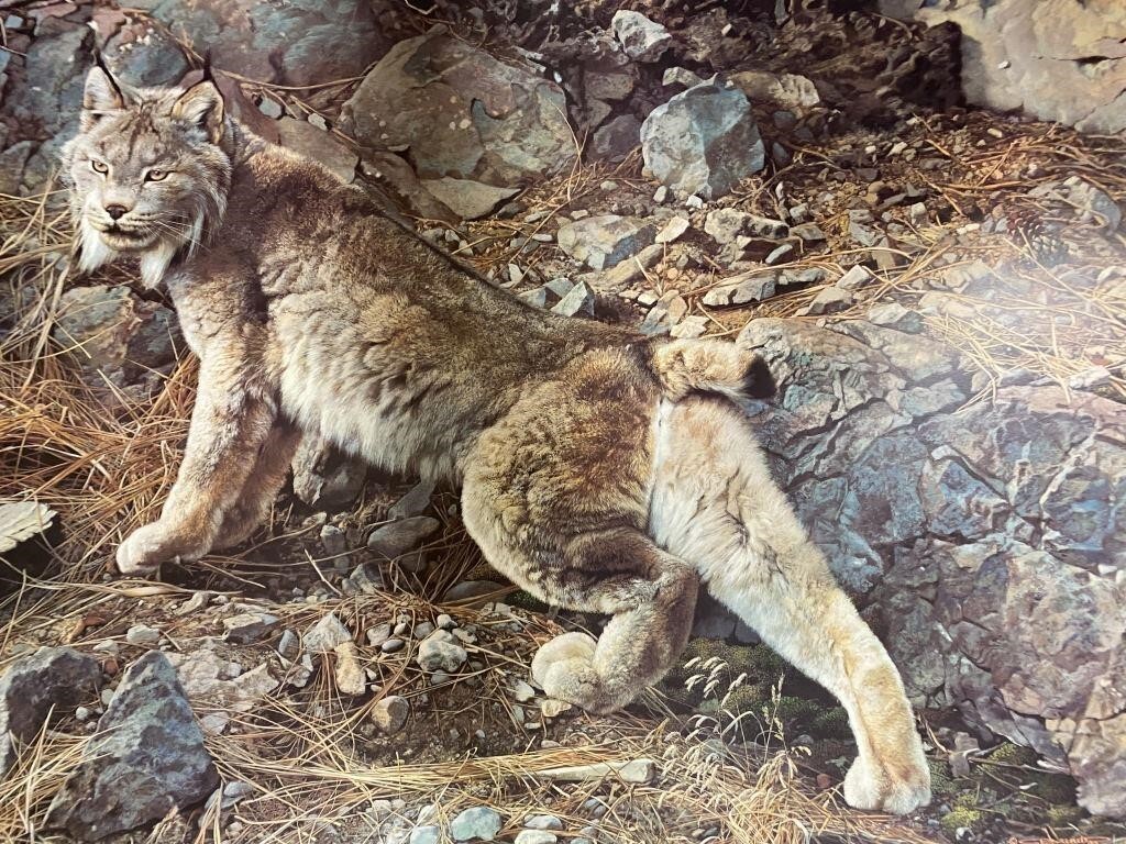 Carl Brenders "IN NORTHERN HUNTING GROUNDS" S/N 172/1750 COA 1993 | eBay