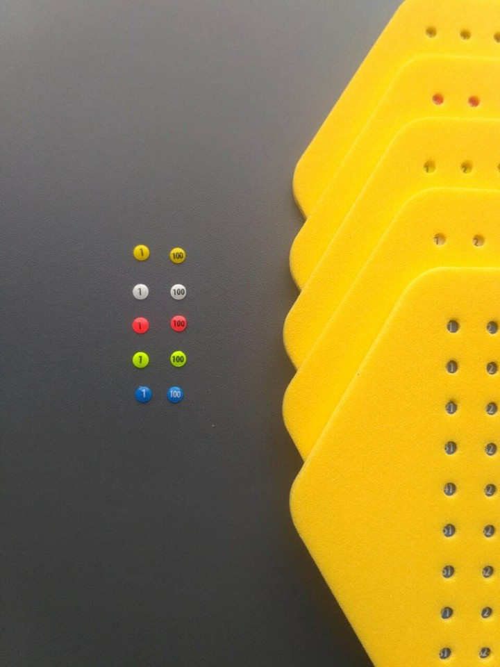 Markings Tag 500 pcs for Queen Bees 5 Colors* Numbers 1 -100 (without ...