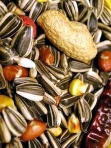 PARROT FOOD 12.5KG COUNTRYWIDE PARROT SEED MIX BULK BAG 5037631101085 ...