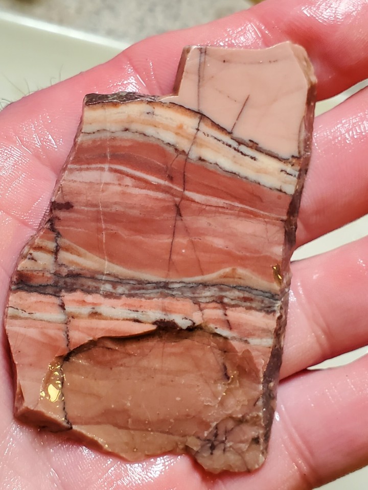 4 Wonderstone Banded Bullseye Tube Jasper Rough 204g Agate Nevada ...