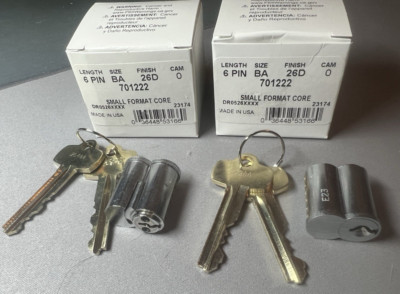 2 Pack Kaba Ilco 6-Pin Interchangeable Core Master Key System 44 NO ...