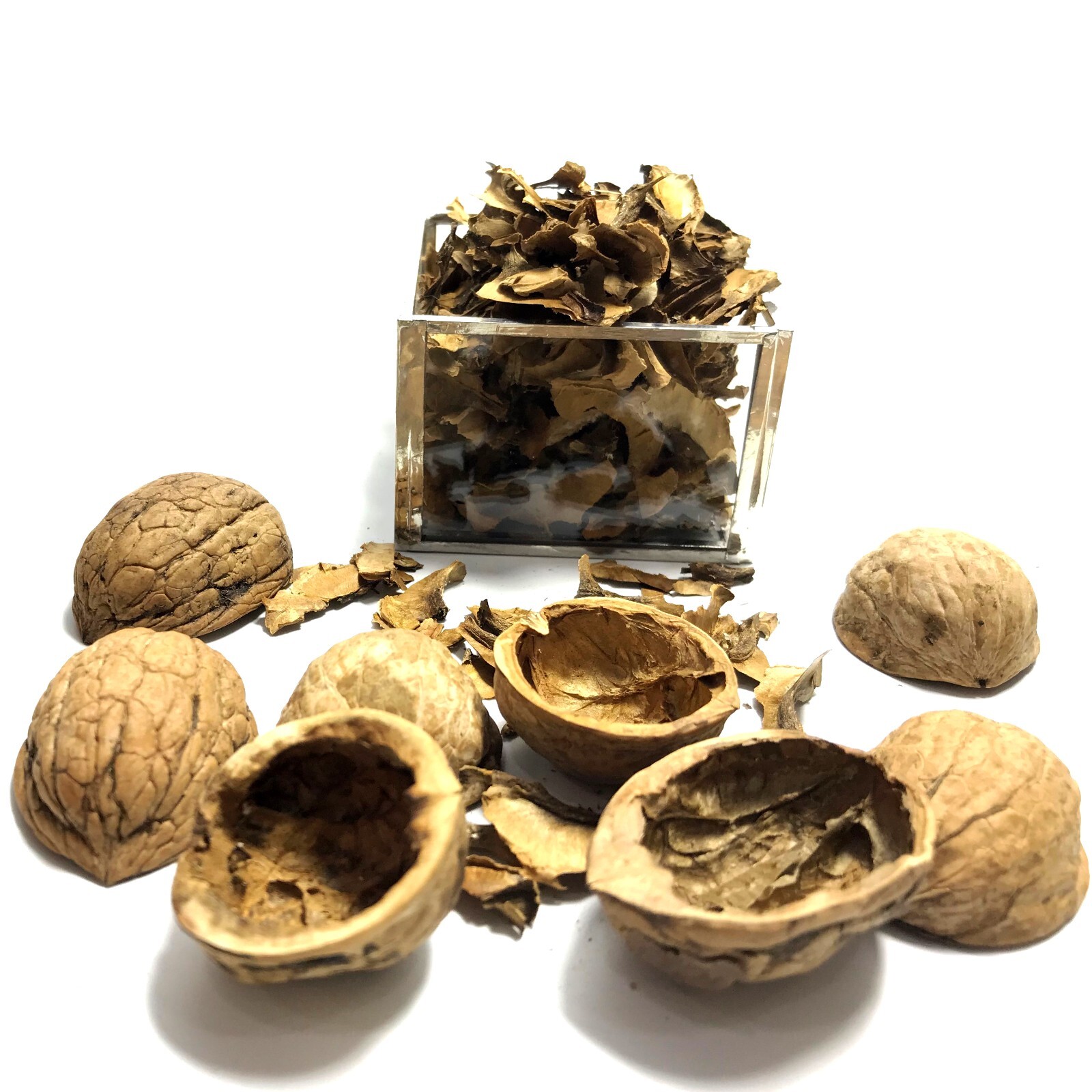 Organic dried Walnut Partitions Natural Decoration Crafting Organic ...