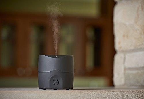 Sharper Image Ultrasonic Aromatherapy Diffuser - Black | eBay