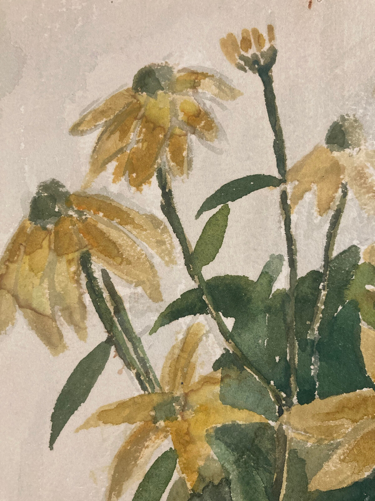 Beautiful Drawing Watercolour Paper Flowers Bouquet Yellow Pot 1952 ...