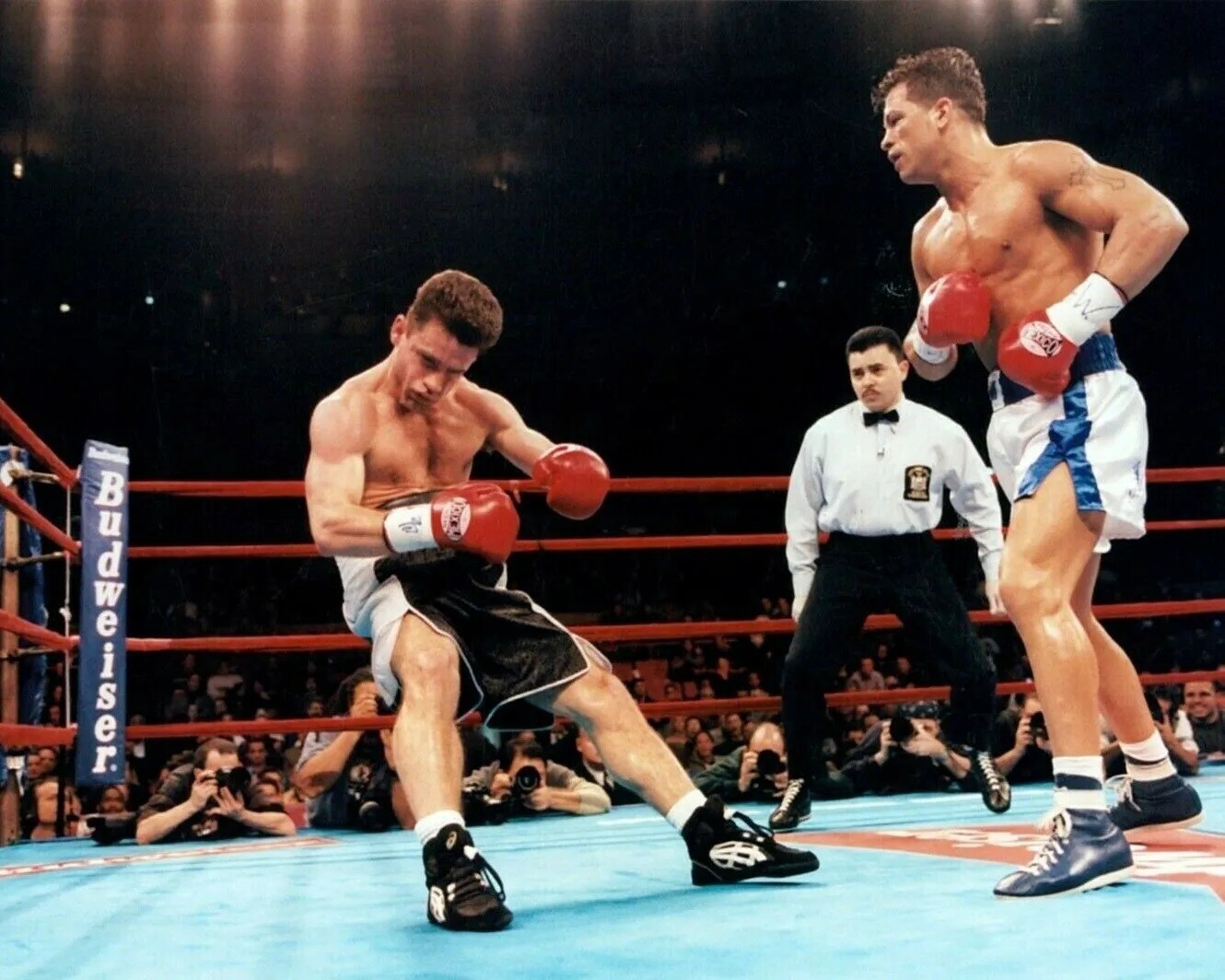 Arturo Gatti Vs Joey Gamache Boxing 8x10 PHOTO PRINT | eBay