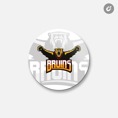 Boston Bruins NHL | 4'' X 4'' Round Decorative Magnet | eBay