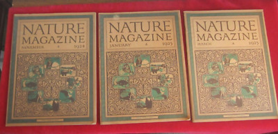 Vintage Nature Magazine Lot 3 Issues 1924/1925 | eBay