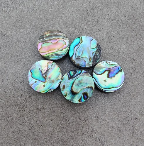 [WHOLESALE] NATURAL ABALONE SHELL BOTH SIDE FLAT ROUND SHAPE LOOSE ...