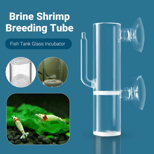 Crystal Shrimp Hatchery Kit Suction Cup Fish Incubator Crystal Glass ...