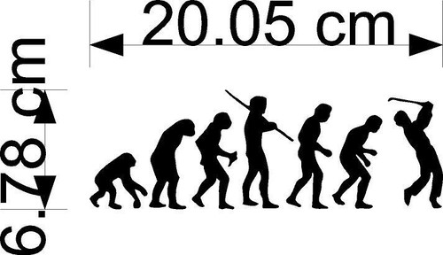 EVOLUTION, Vinyl Decal Sticker 9 Different colours available | eBay